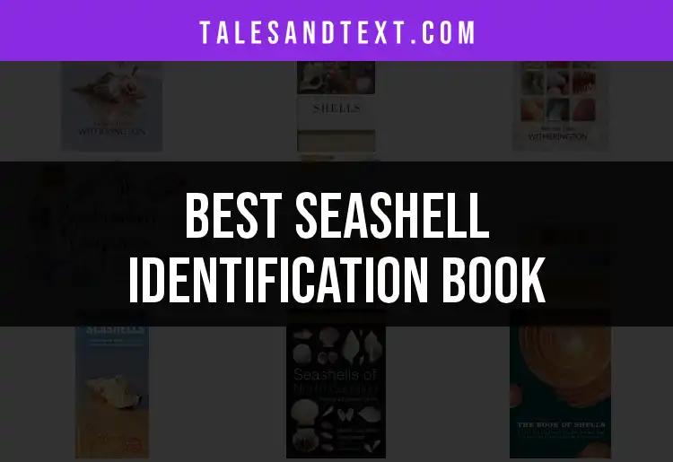 11 Seashell Identification Books You Need to Explore